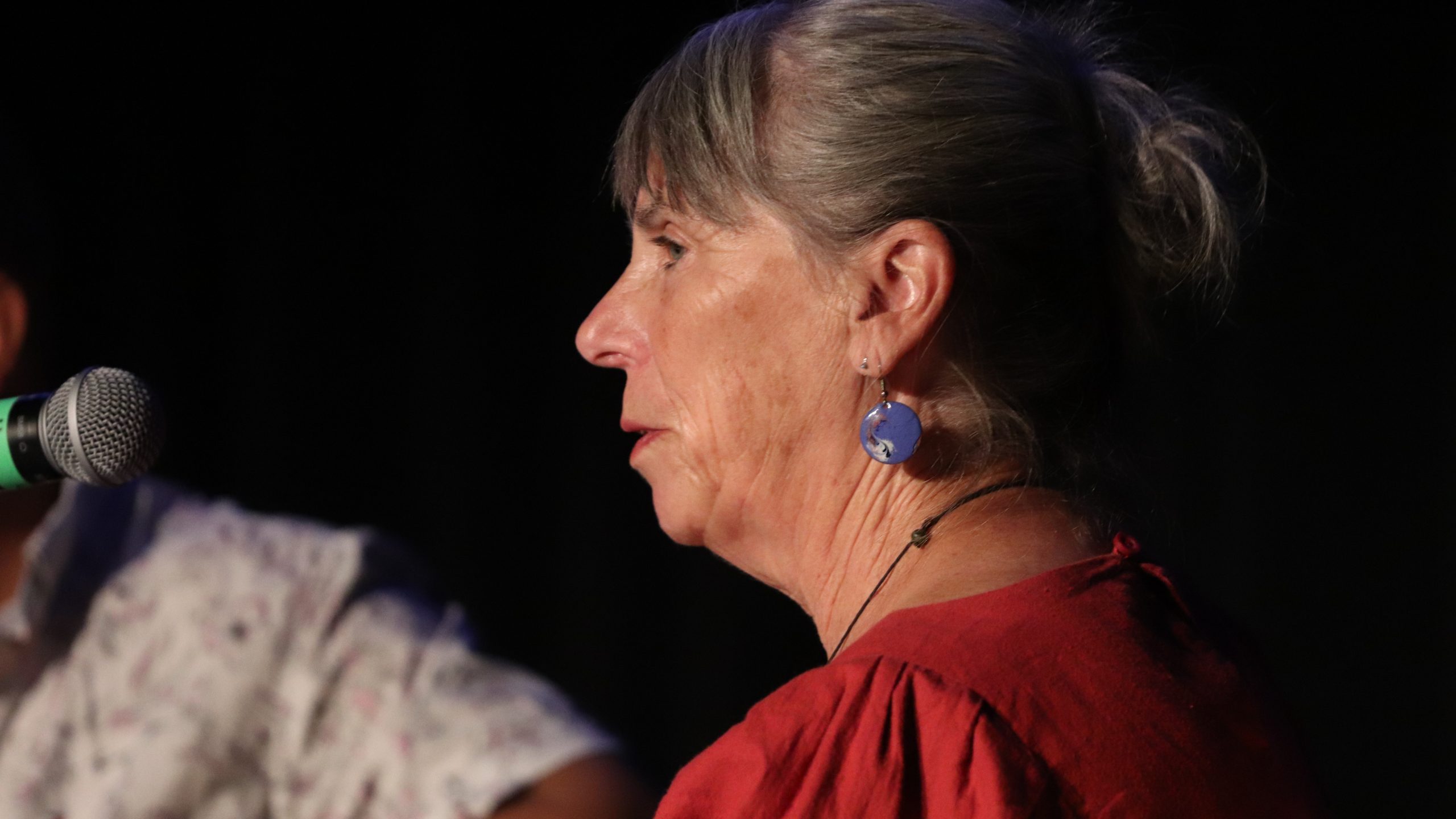 Guest columnist Meg Robbins: Northampton votes change - Daily Hampshire ...