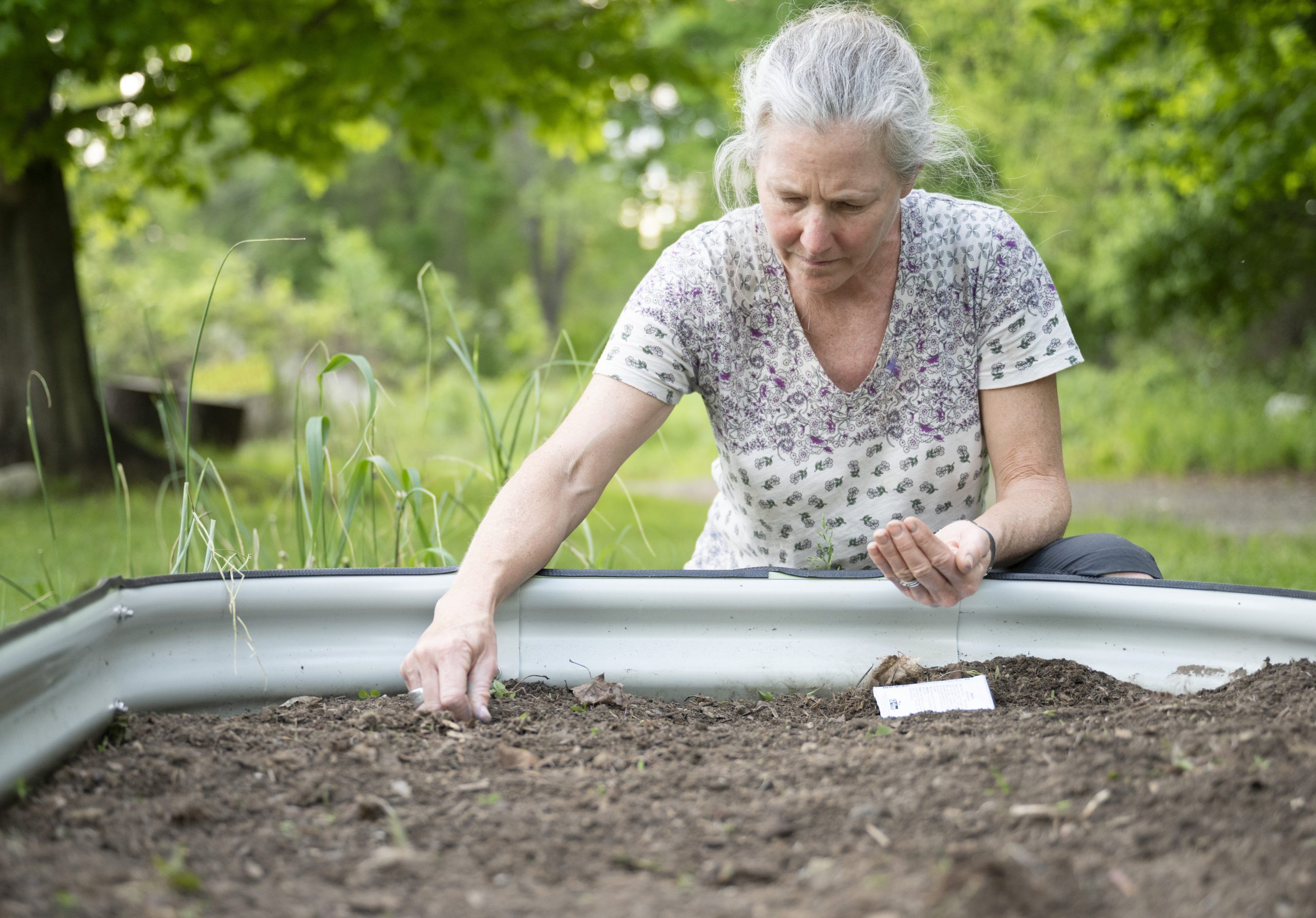 Planting through uncertainty: Hampshire College Farm winds down while ...
