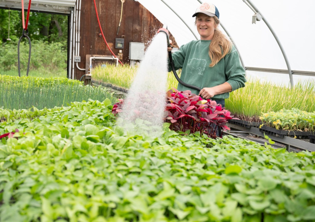 Planting through uncertainty: Hampshire College Farm winds down while ...