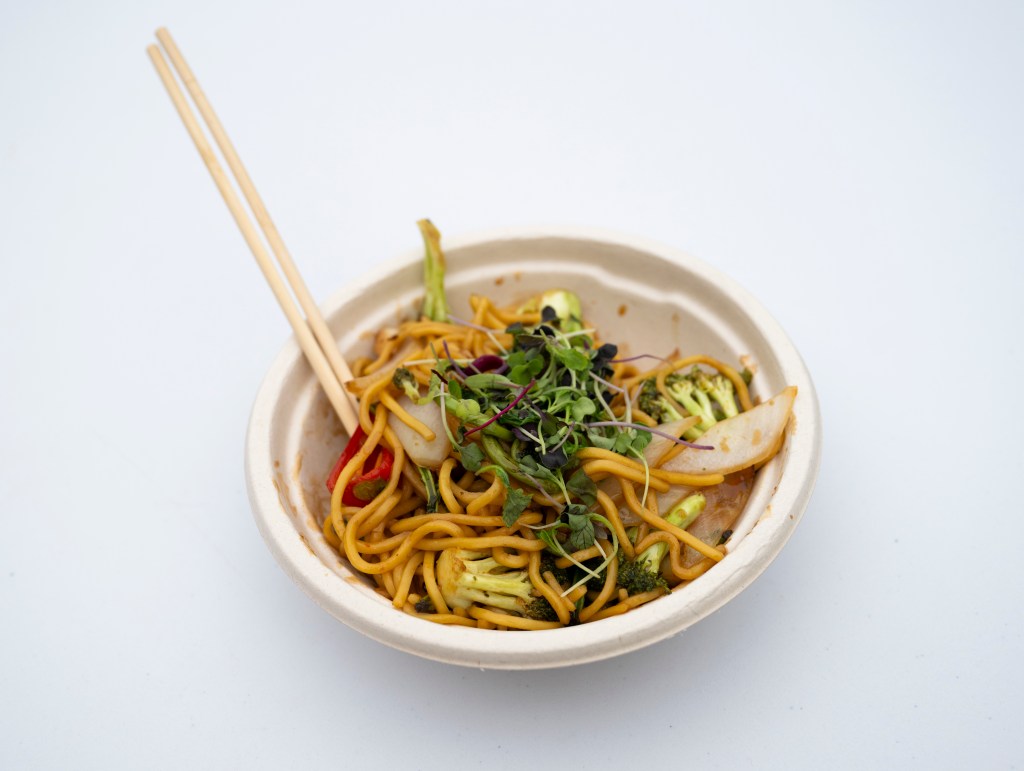 No ordinary garden variety: Western Mass Vegan Food Fest returns to ...